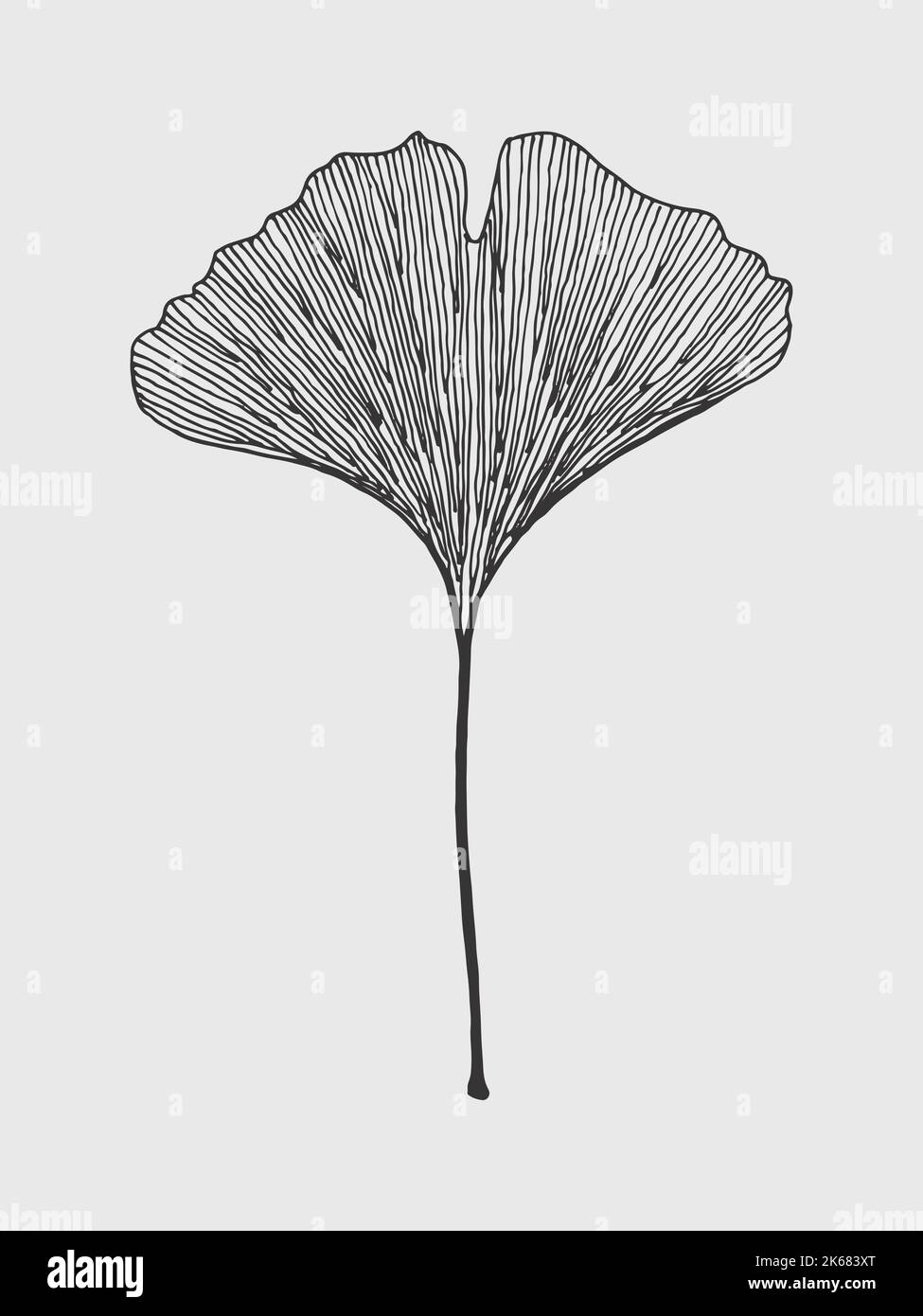 Ginkgo leaf vector dark color on light background Stock Vector Image ...