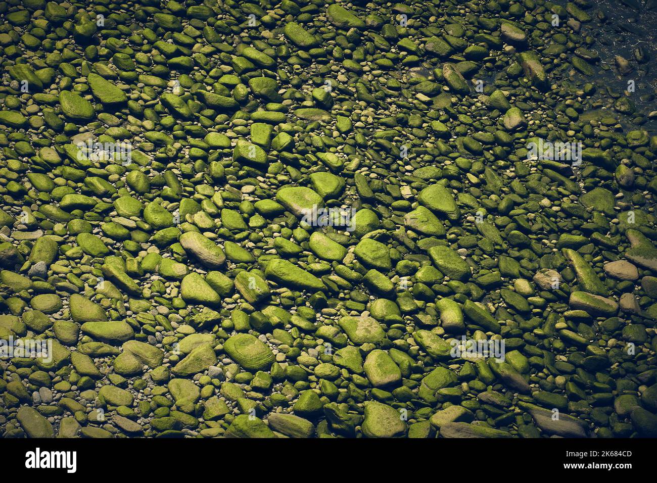 A top view of wet green pebbles on the shore Stock Photo - Alamy