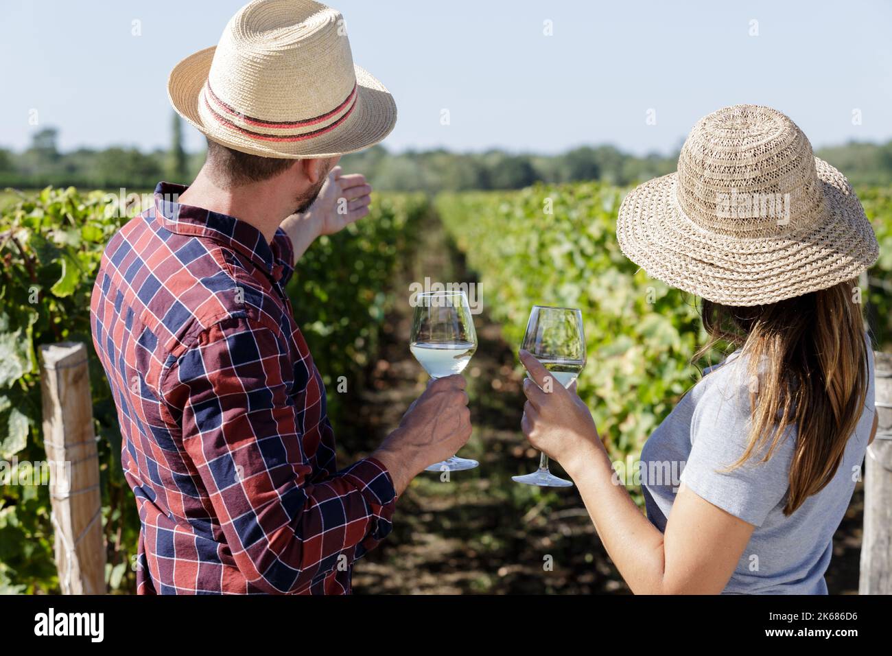 wine worker and woman with straw hat holding wine glassed Stock Photo ...