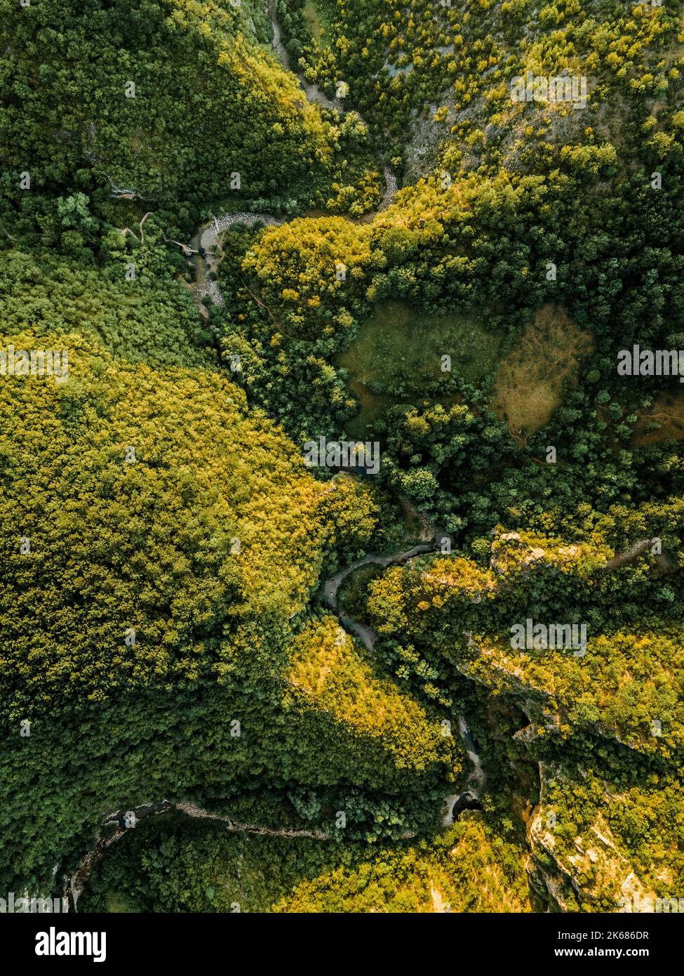 An aerial view of a canyon with sinuous river and thick forests Stock ...
