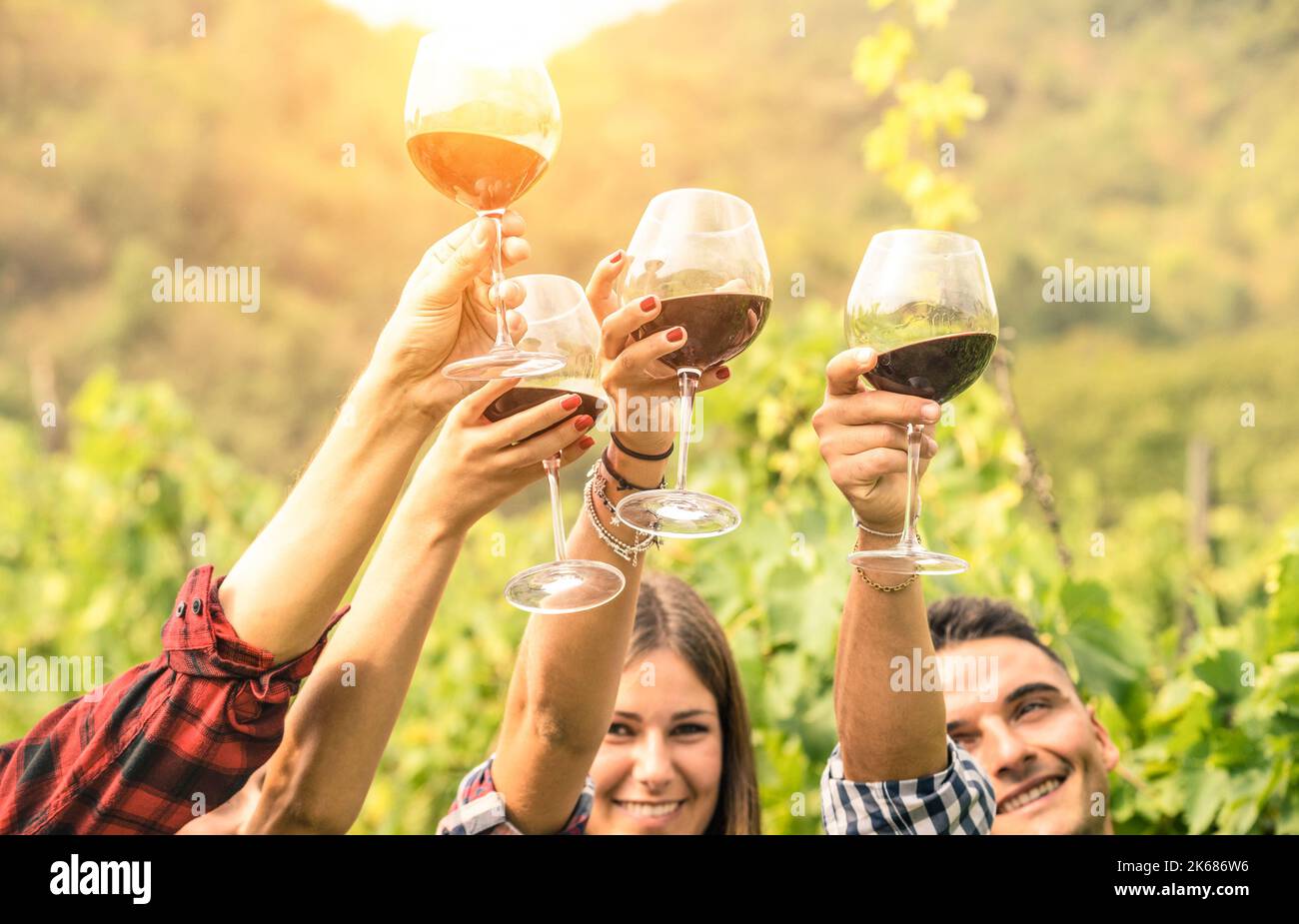 Friends hands toasting red wine glass and having fun cheering at ...