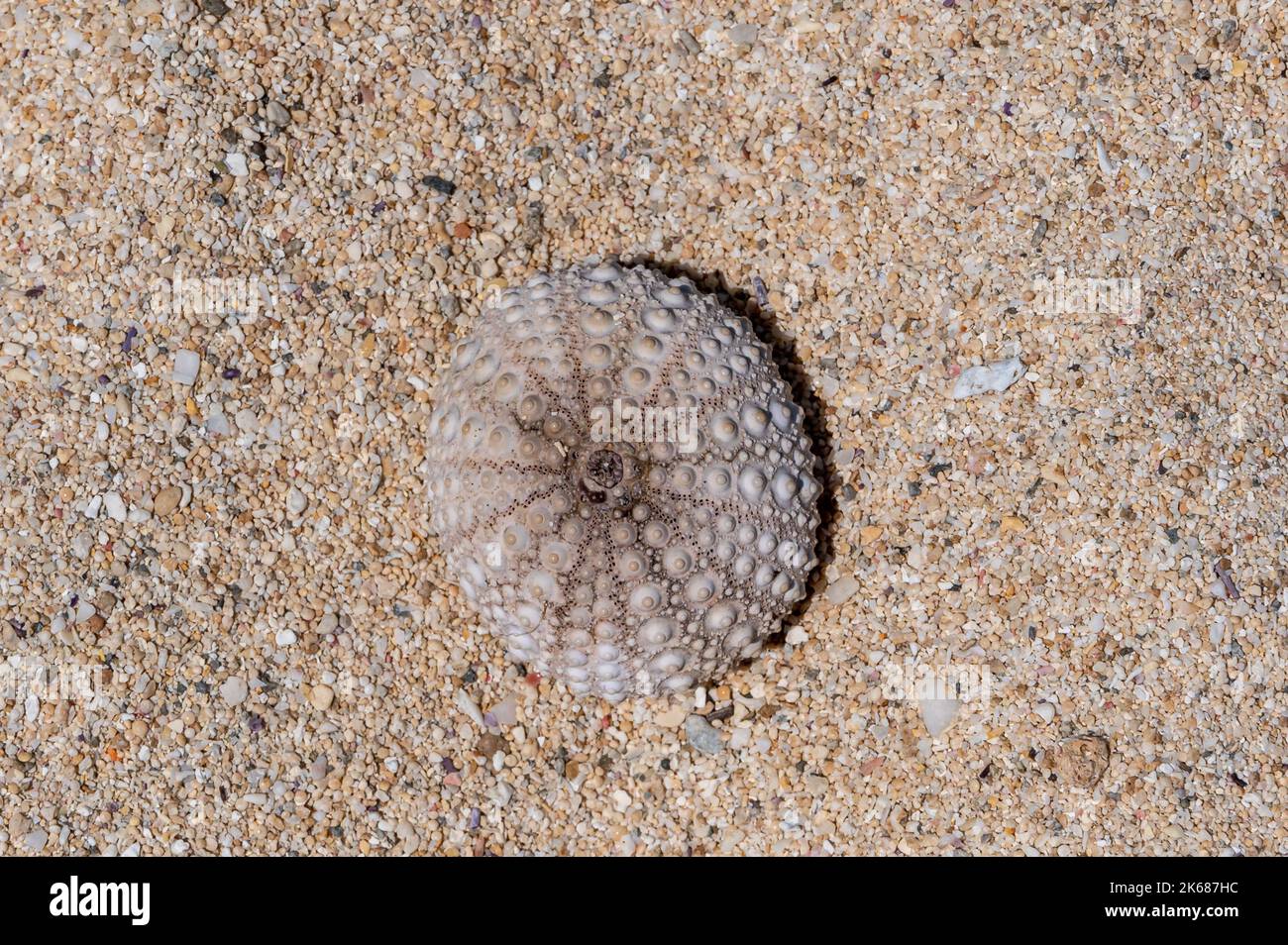 Reunion island people on the beach hi-res stock photography and images ...