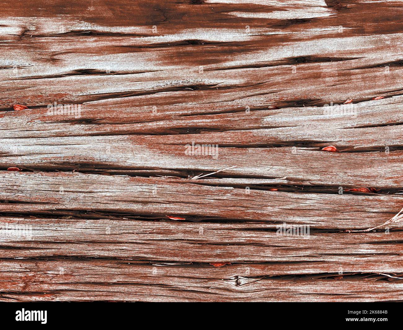 a Closeup natural wood grain panel ship deck rotten old vintage worn ...