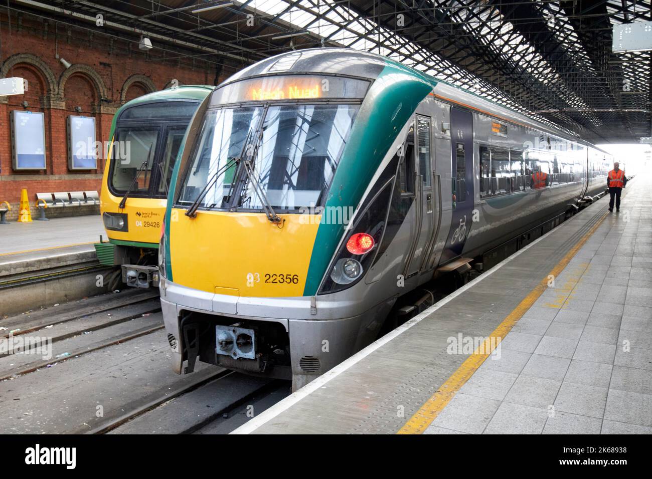 Can Dogs Go On Trains In Ireland