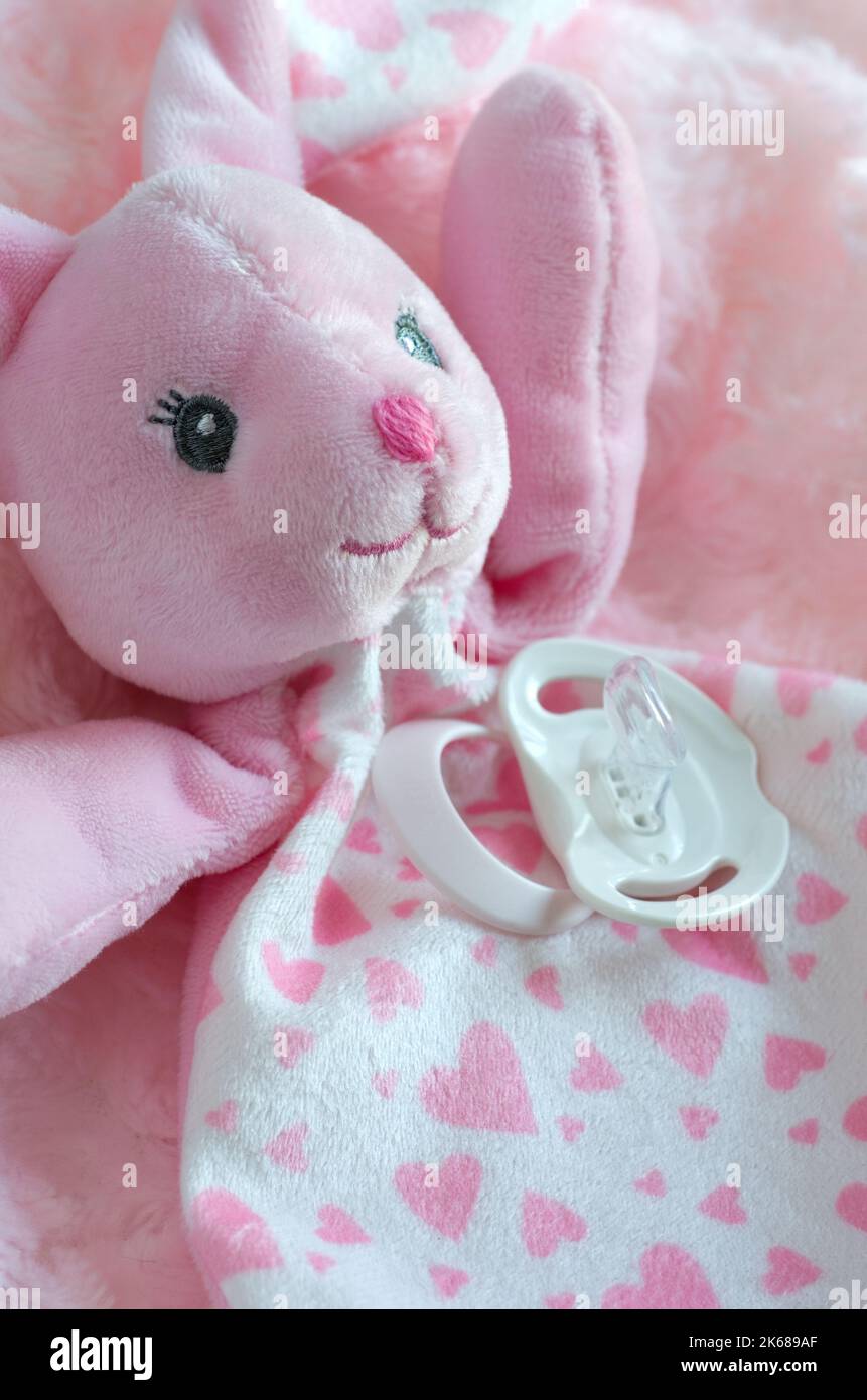 Cute Little Pink Bunny Toy and White Baby Soother Vertical Stock Photo ...