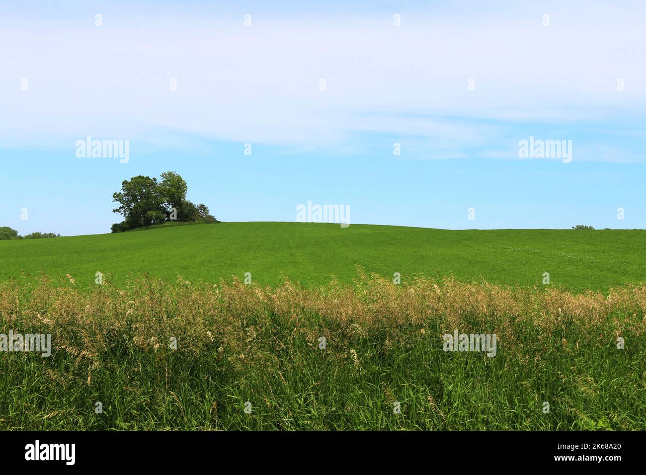 a farmland field rural meadow horizon land blue sky tranquil farming ...