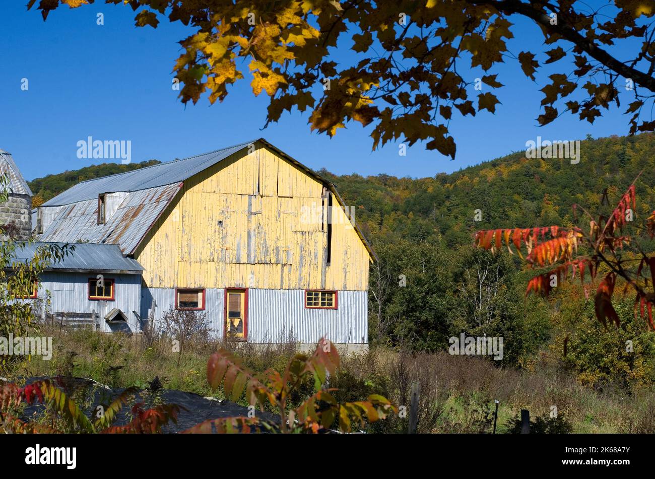 Old Yellow Barn in the Mountains during Fall Season Horizontal Stock ...