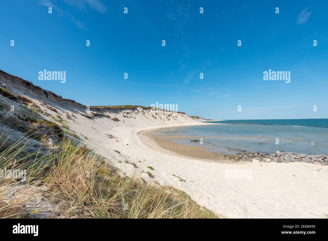 Sylt animals hi-res stock photography and images - Alamy