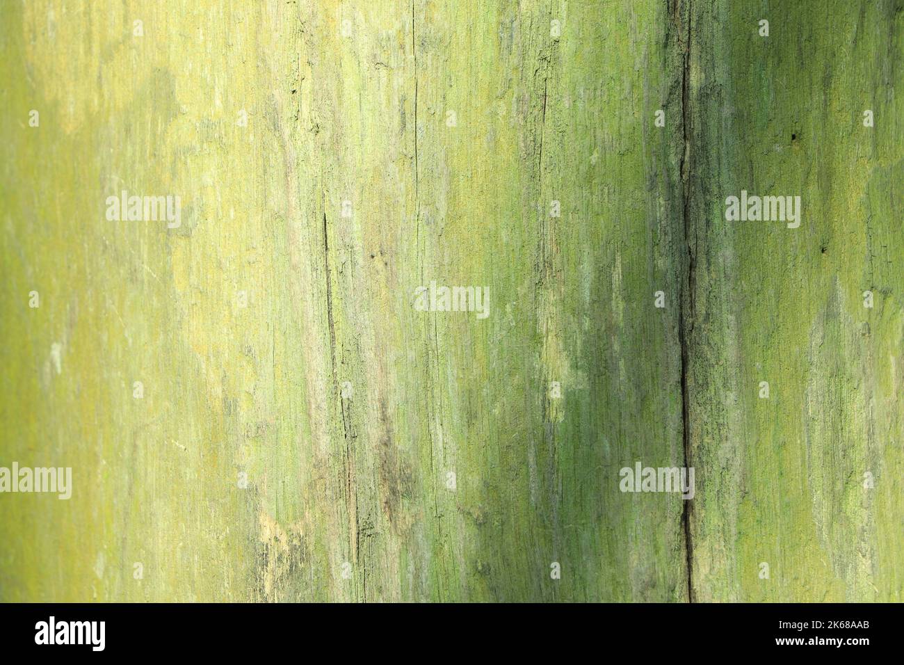 wooden texture surface in sunlight Stock Photo - Alamy