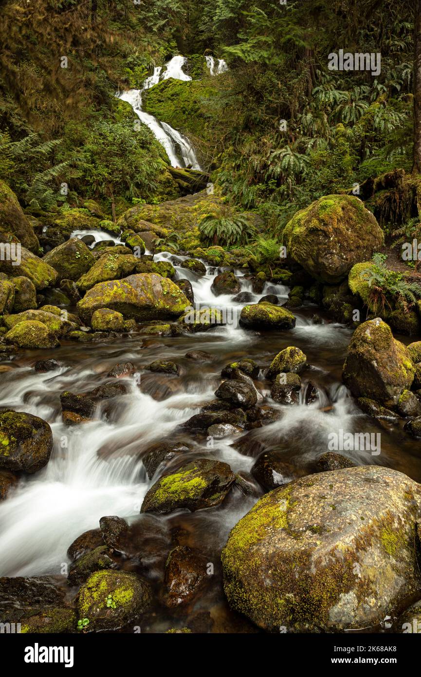 Merriman creek hi-res stock photography and images - Alamy