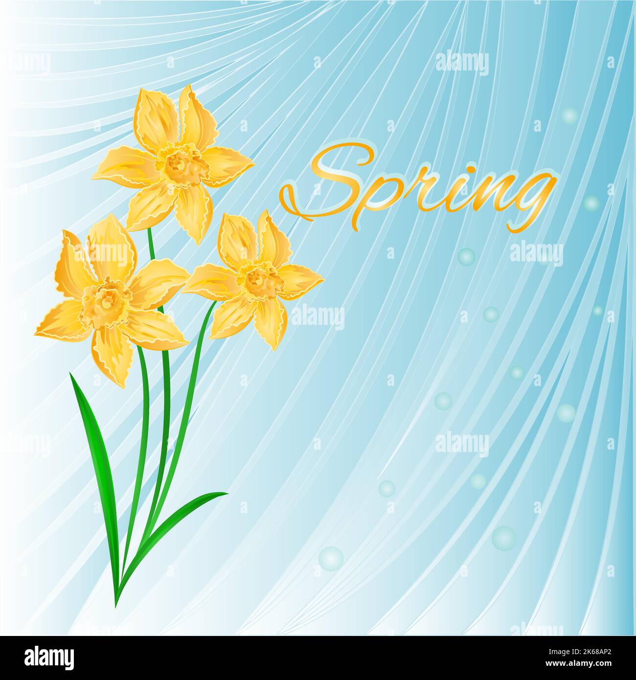 Spring blue background with Daffodils vector Stock Vector Image & Art ...
