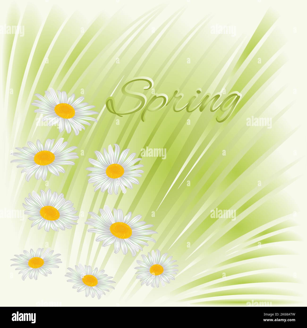 Spring daisies green background vector Stock Vector Image & Art - Alamy