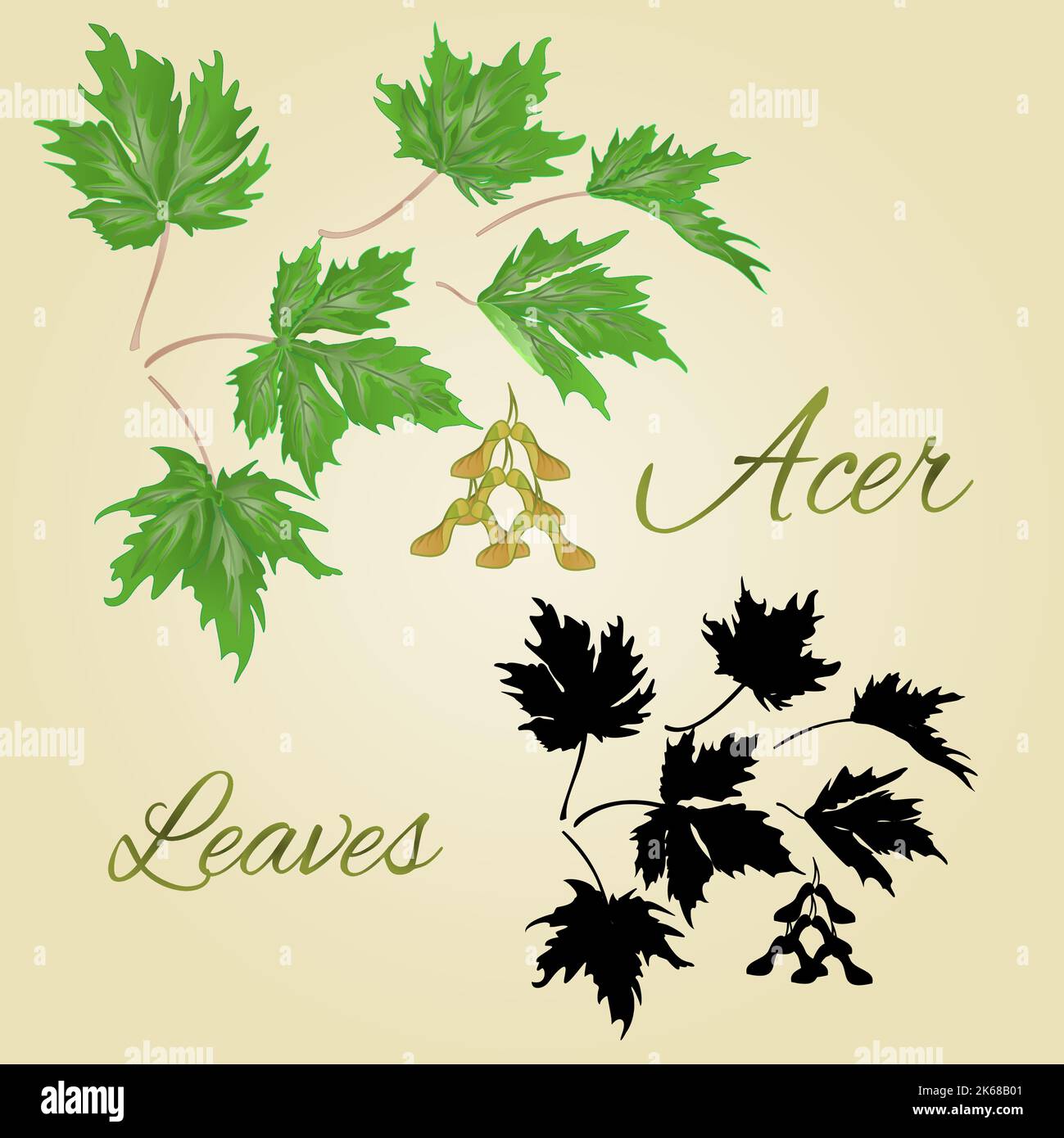 Leaves insects Stock Vector Images - Alamy