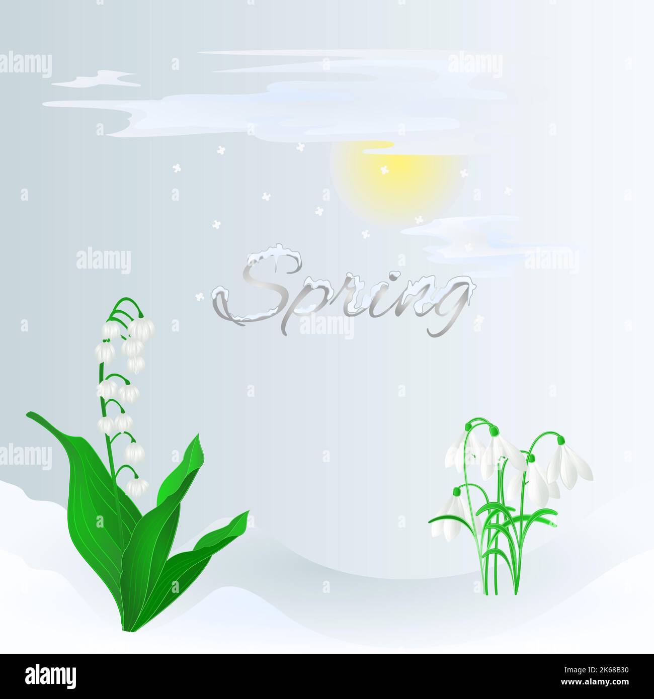 Spring lily of the valley and snowdrops vector Stock Vector Image & Art - Alamy