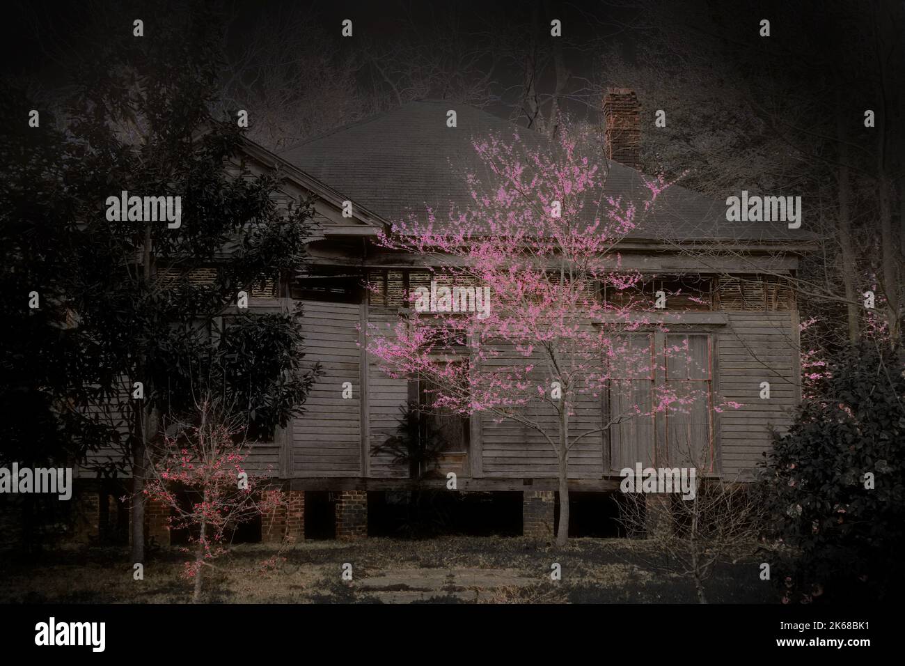 a ghosts spooky halloween haunted house ghost scary abandoned moody ...