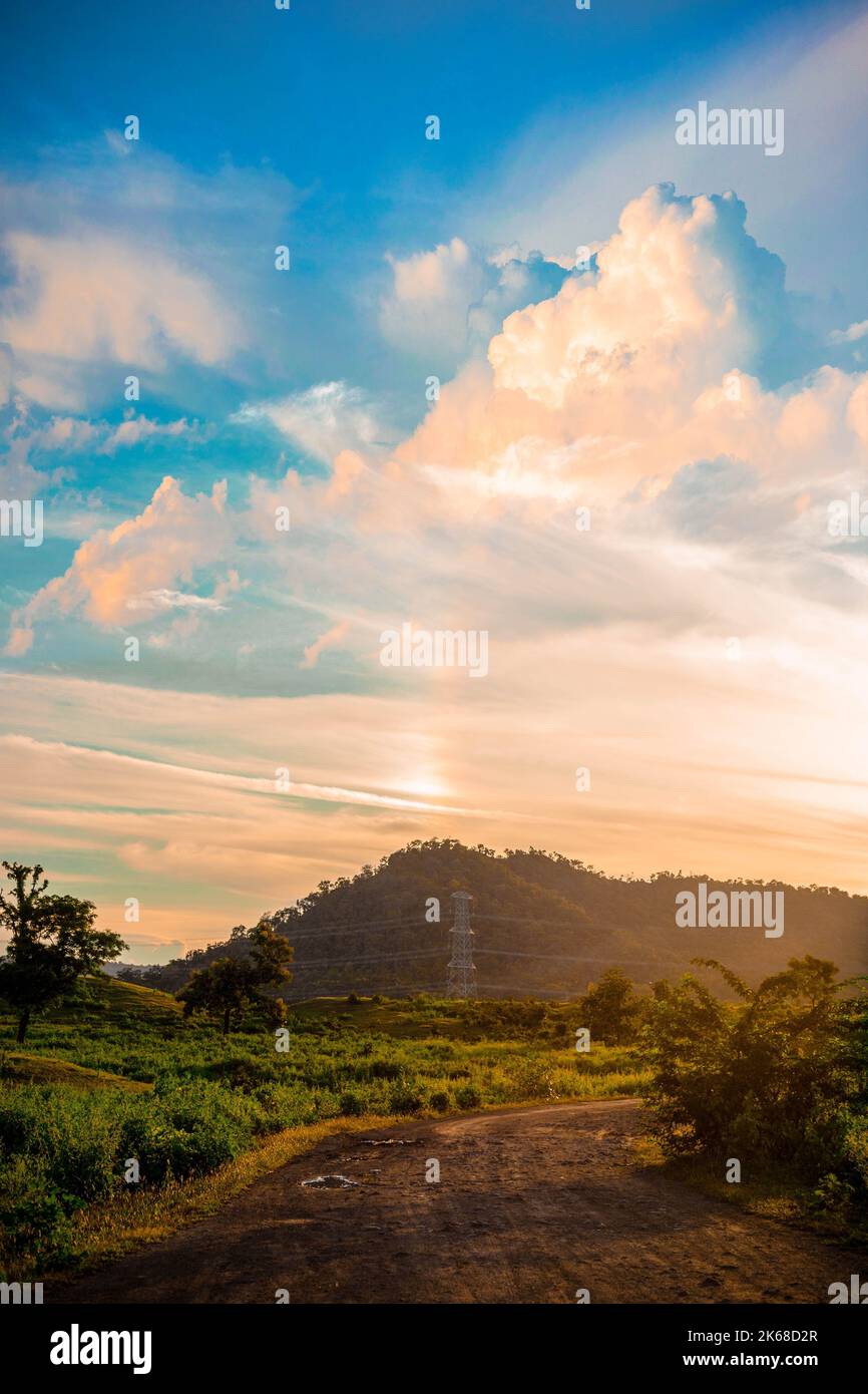 A mesmerizing vertical view of a soft sunset in the green field with a ...