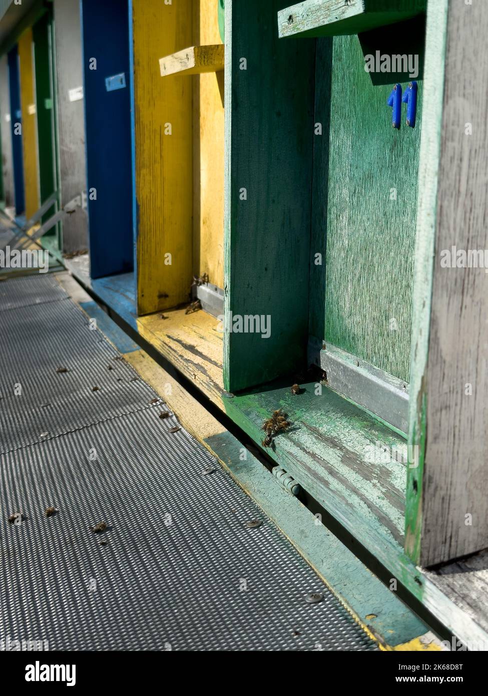 Multi-colored bee hives on a trailer. Mobile apiary Stock Photo - Alamy