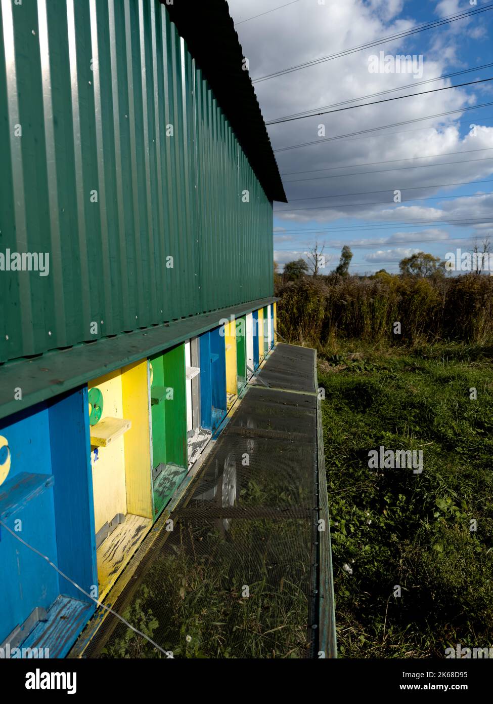 Multi-colored bee hives on a trailer. Mobile apiary Stock Photo - Alamy