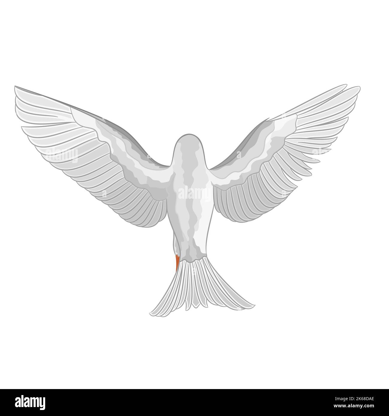 Detailed dove Stock Vector Images - Alamy