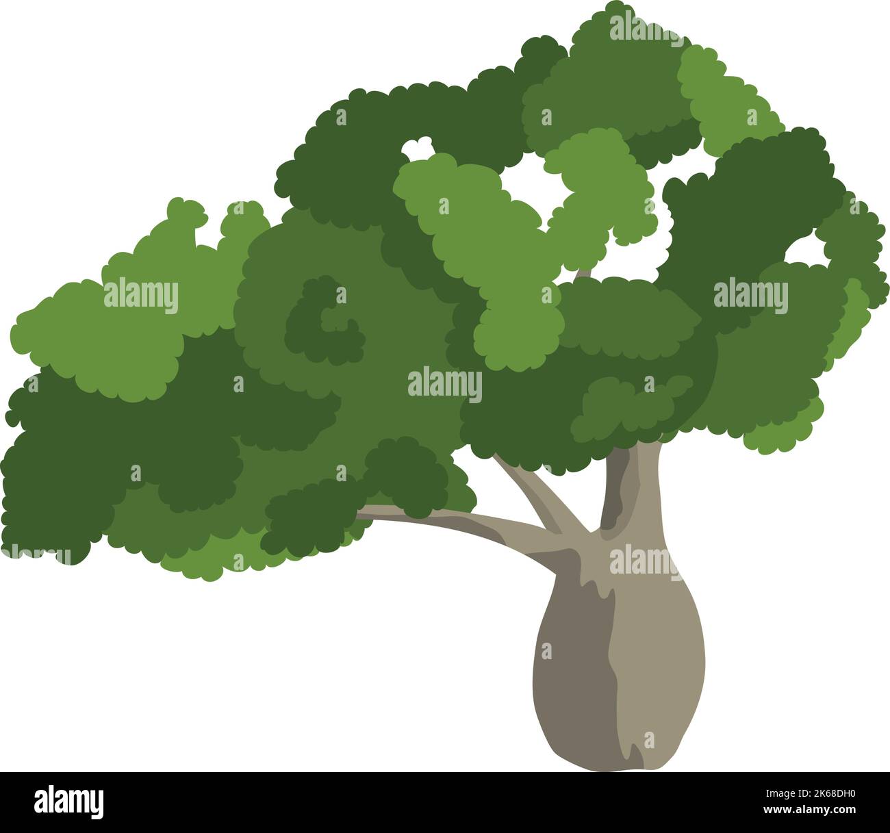 Australian bottle plant Stock Vector Images - Alamy