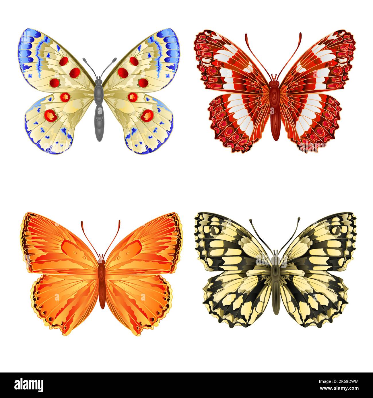Various butterflies vector Stock Vector Image & Art - Alamy