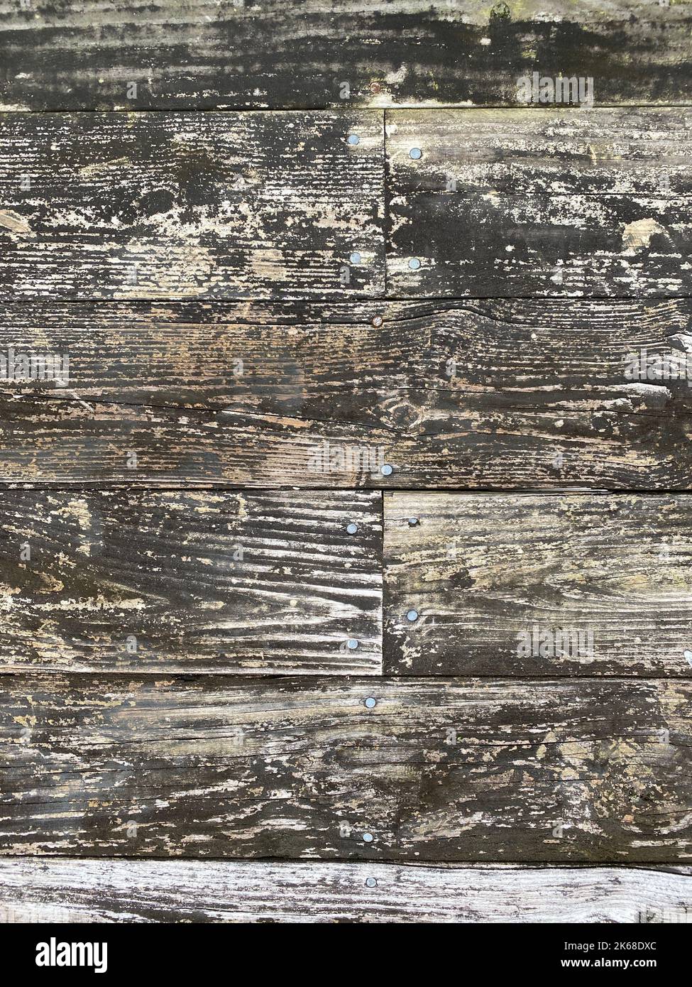 a close-up view of a rustic wood wall reveals rich textures, weathered ...