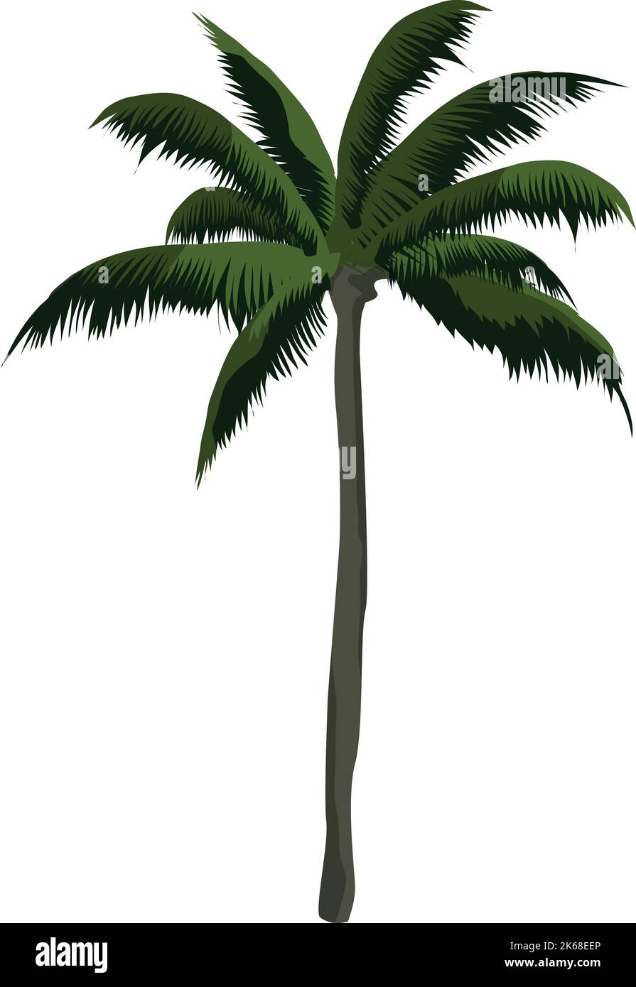 Palm icon. Exotic tropical tree. Beach symbol Stock Vector Image & Art ...