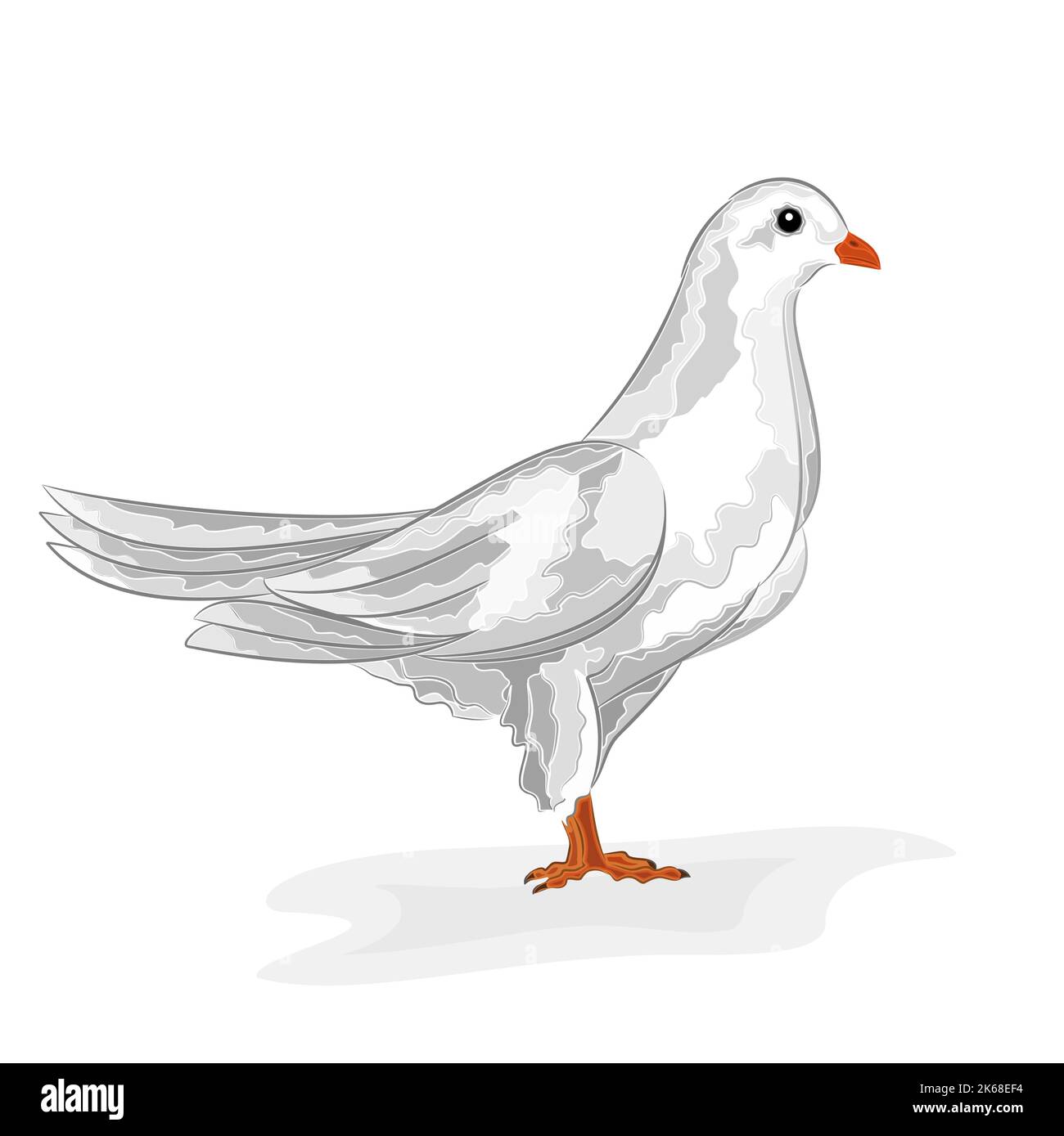 Detailed dove Stock Vector Images - Alamy