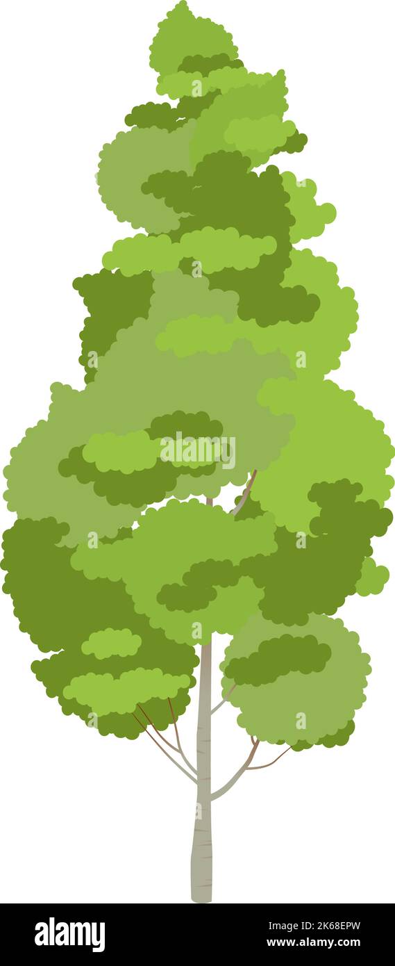 Aspen icon. Green foliage tree. Nature symbol Stock Vector Image & Art ...