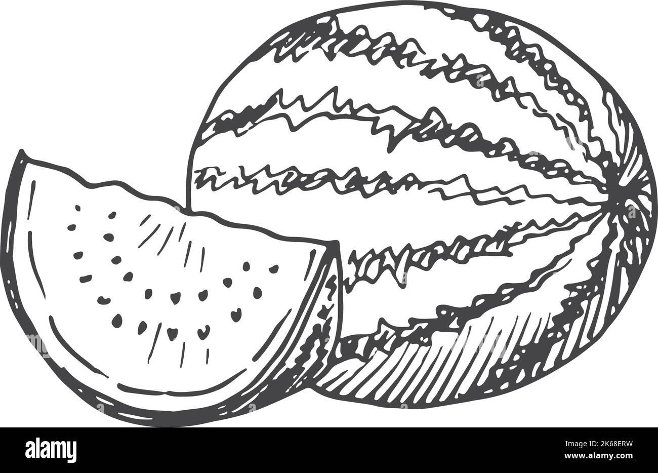 Watermelon Clipart Black And White