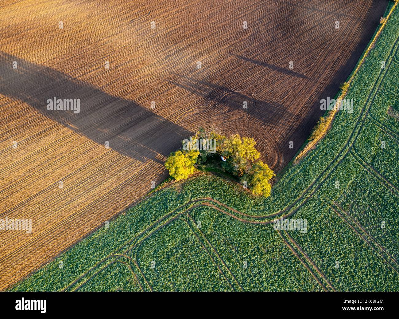 Drone tree lines hi-res stock photography and images - Alamy