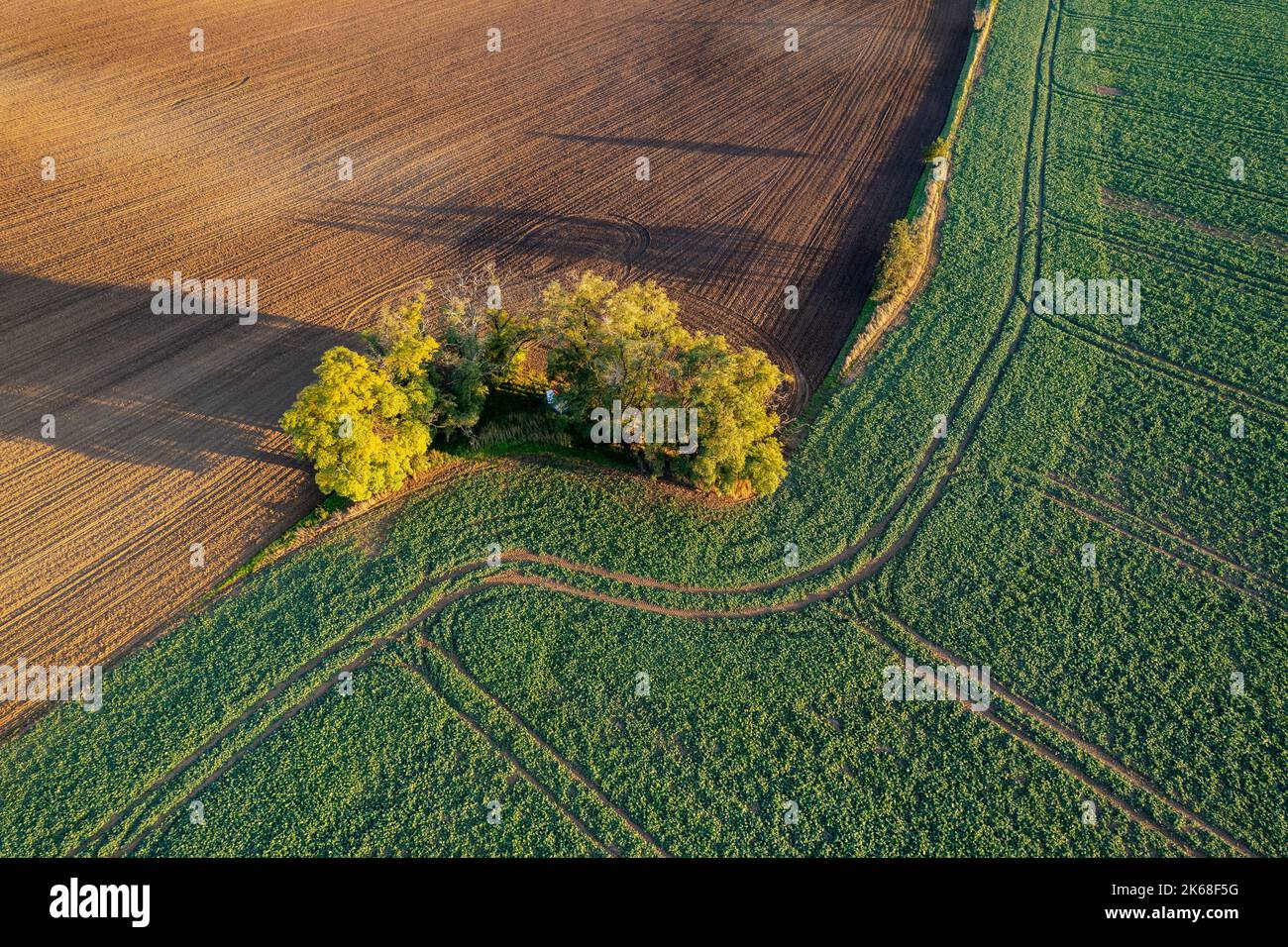 Autumn farmland and trees in Czech Moravia seen from above, patterns ...