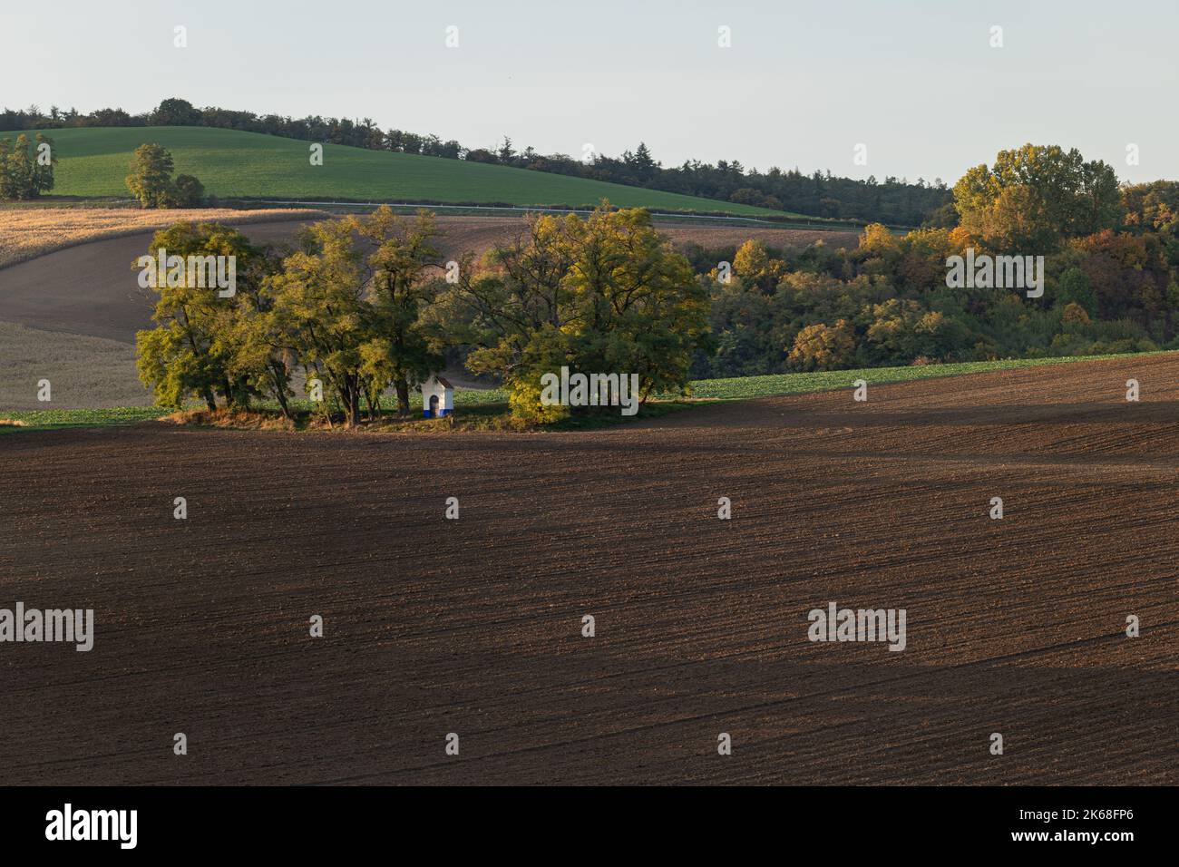 A white chapel in a small forest grove in Czech Moravia, autumn Stock ...