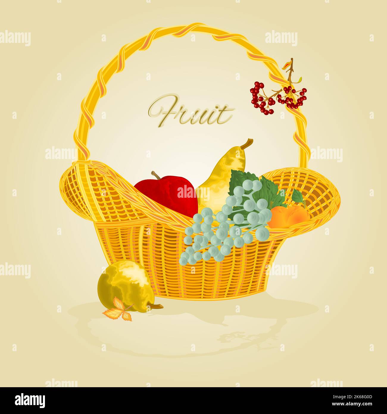 Fruit at a Stock Vector Images - Alamy