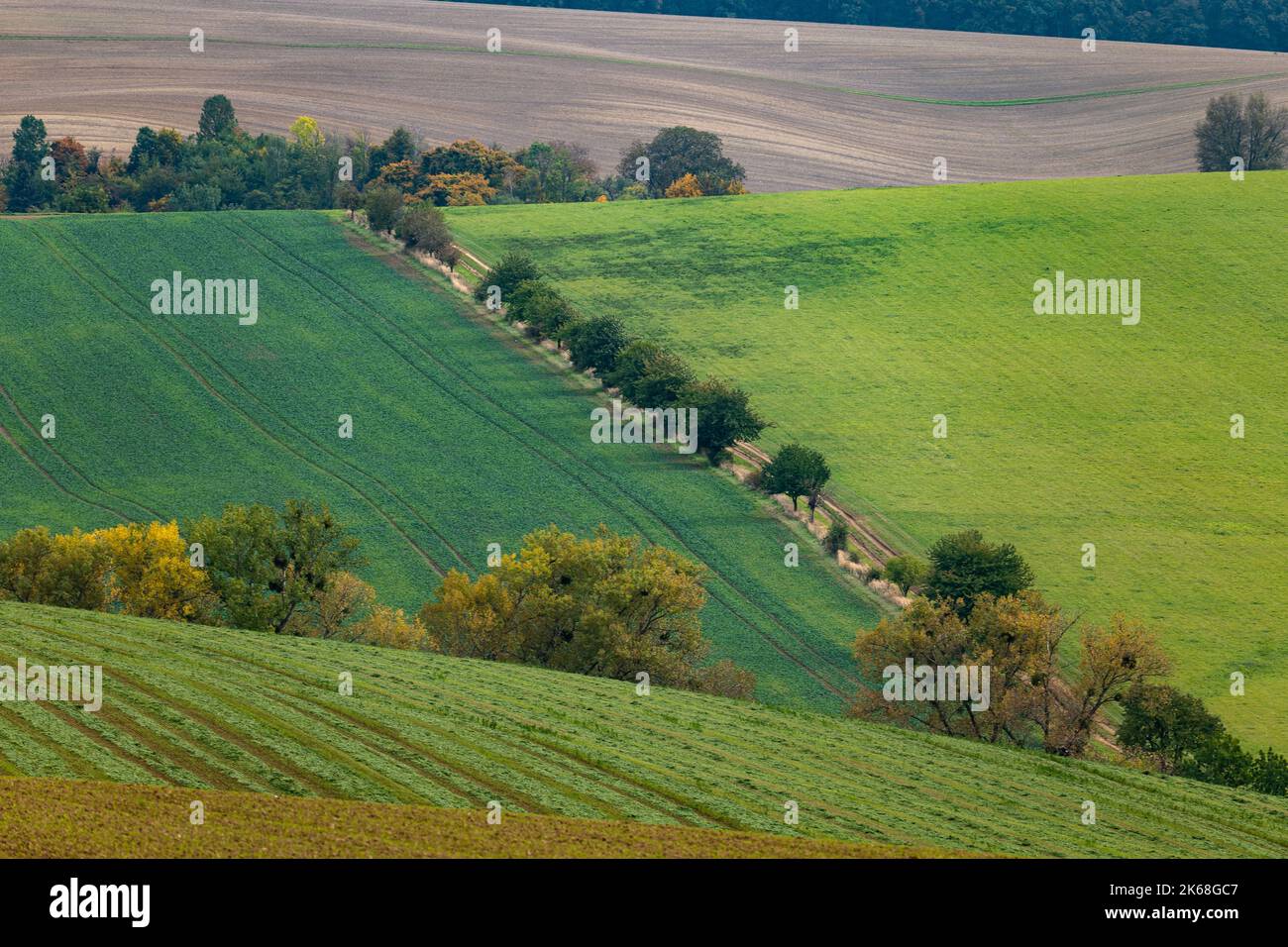 Cultivated fields in Czech Moravia, patterns and lines on the ground ...
