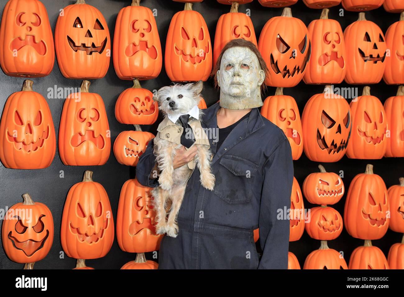 Michor hi-res stock photography and images - Alamy