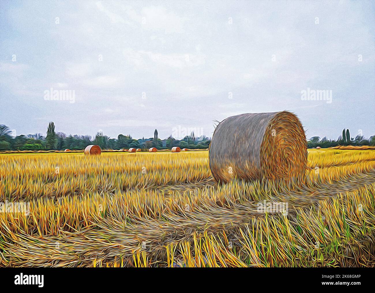 Hay bales lombardy hi-res stock photography and images - Alamy