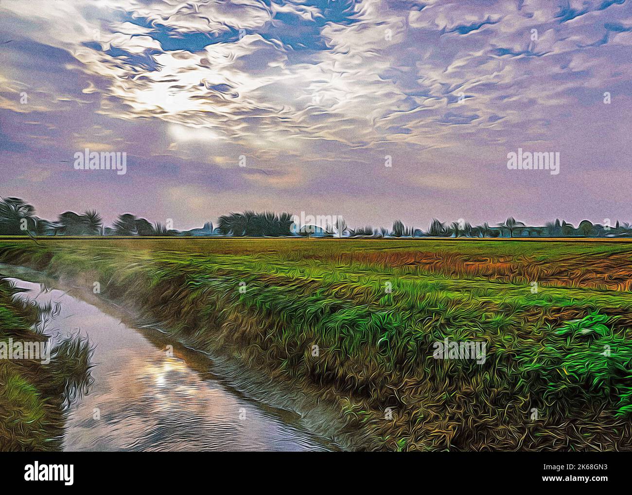 Mist rising from an irrigation ditch in a natural park during autumn ...
