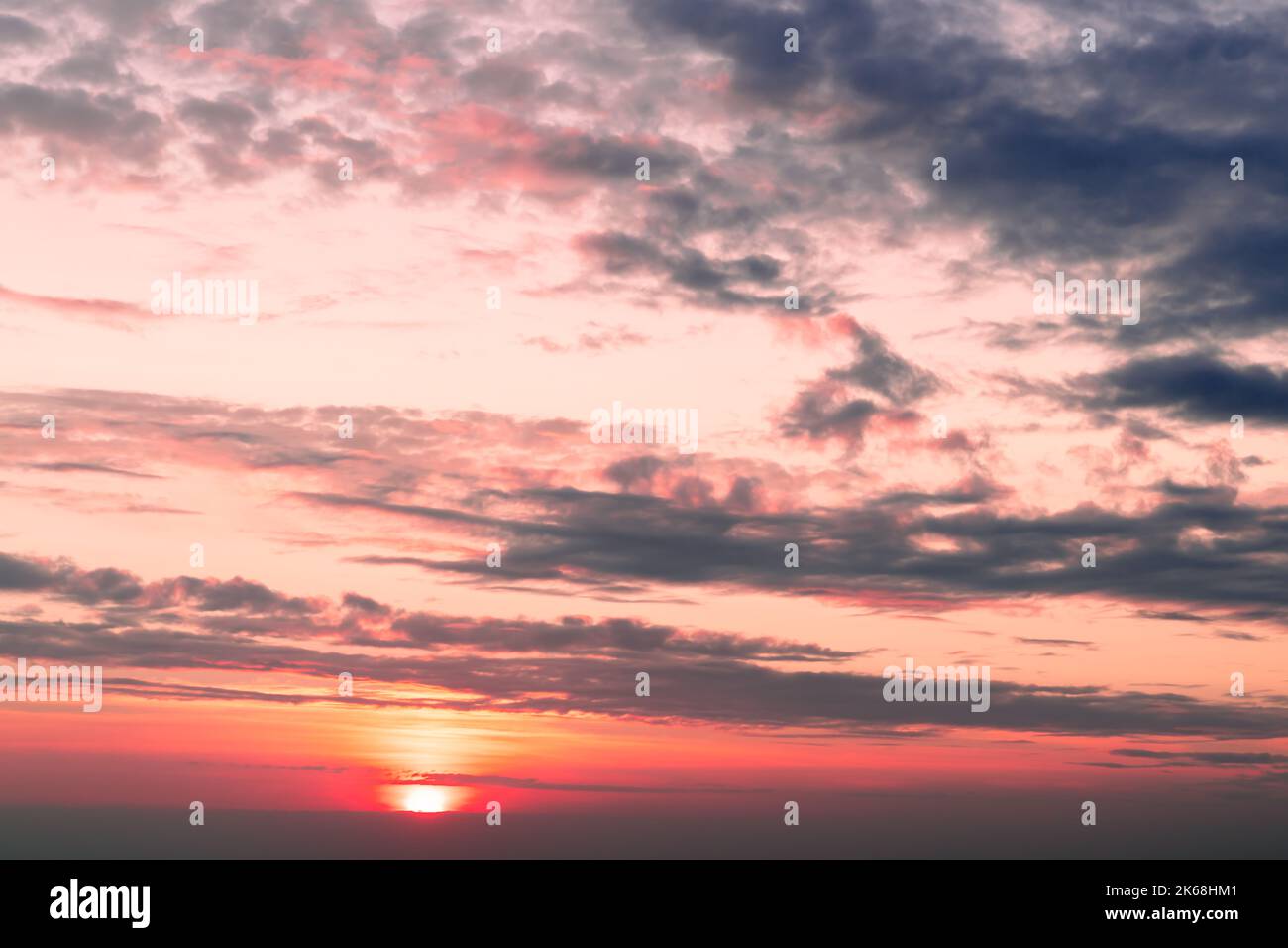 lilac blue sunset pink sky fluffy clouds on gold sunset summer tropical ...