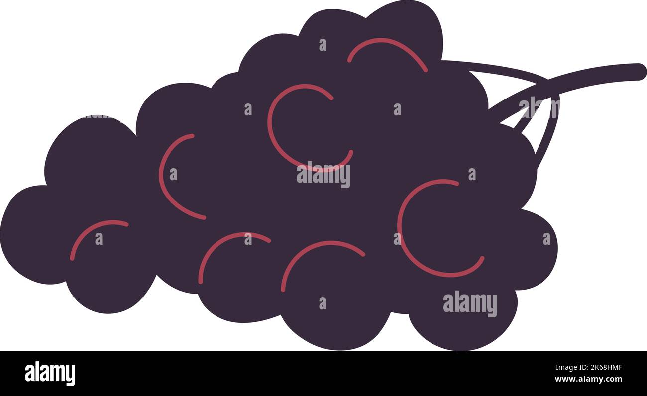 Grape bunch icon. Ripe berries in hand drawn style Stock Vector Image ...