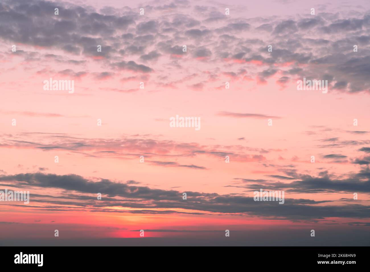 lilac blue sunset pink sky fluffy clouds on gold sunset summer tropical ...