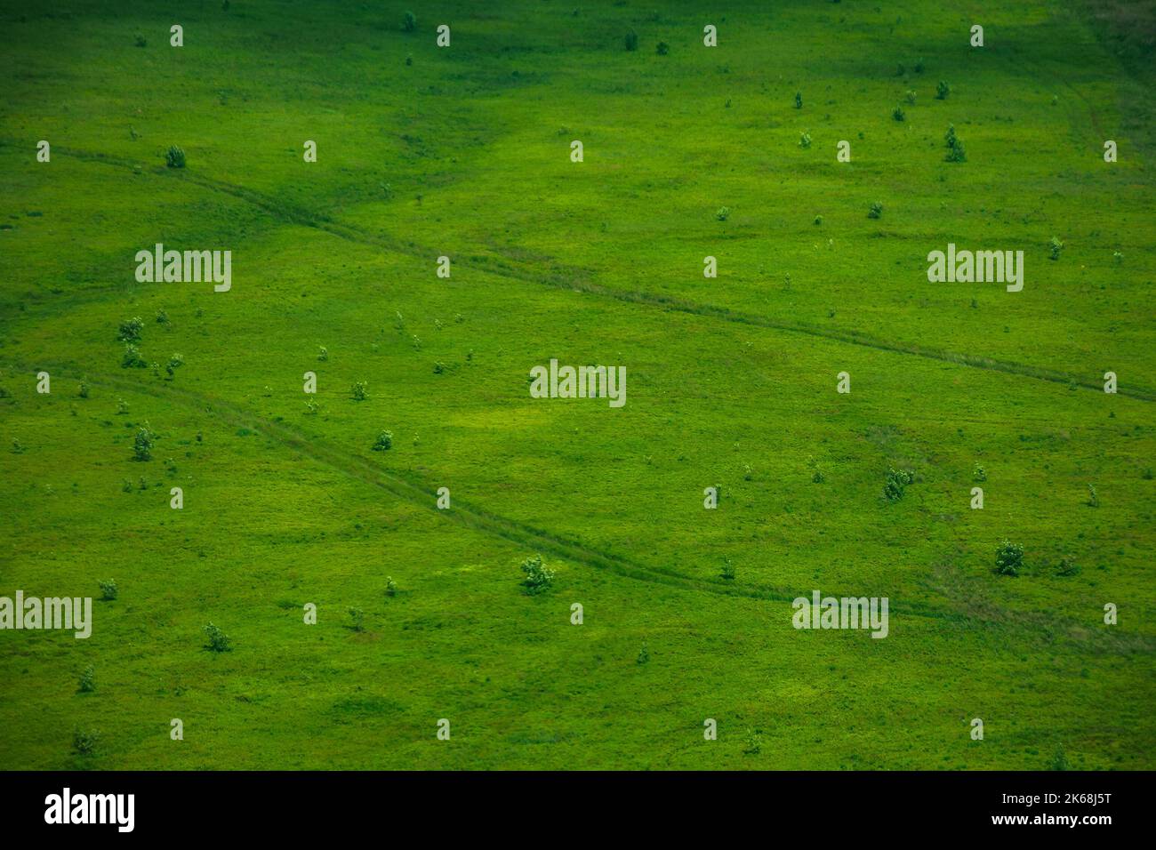 green grass natural background texture. mountain hillside in dappled ...
