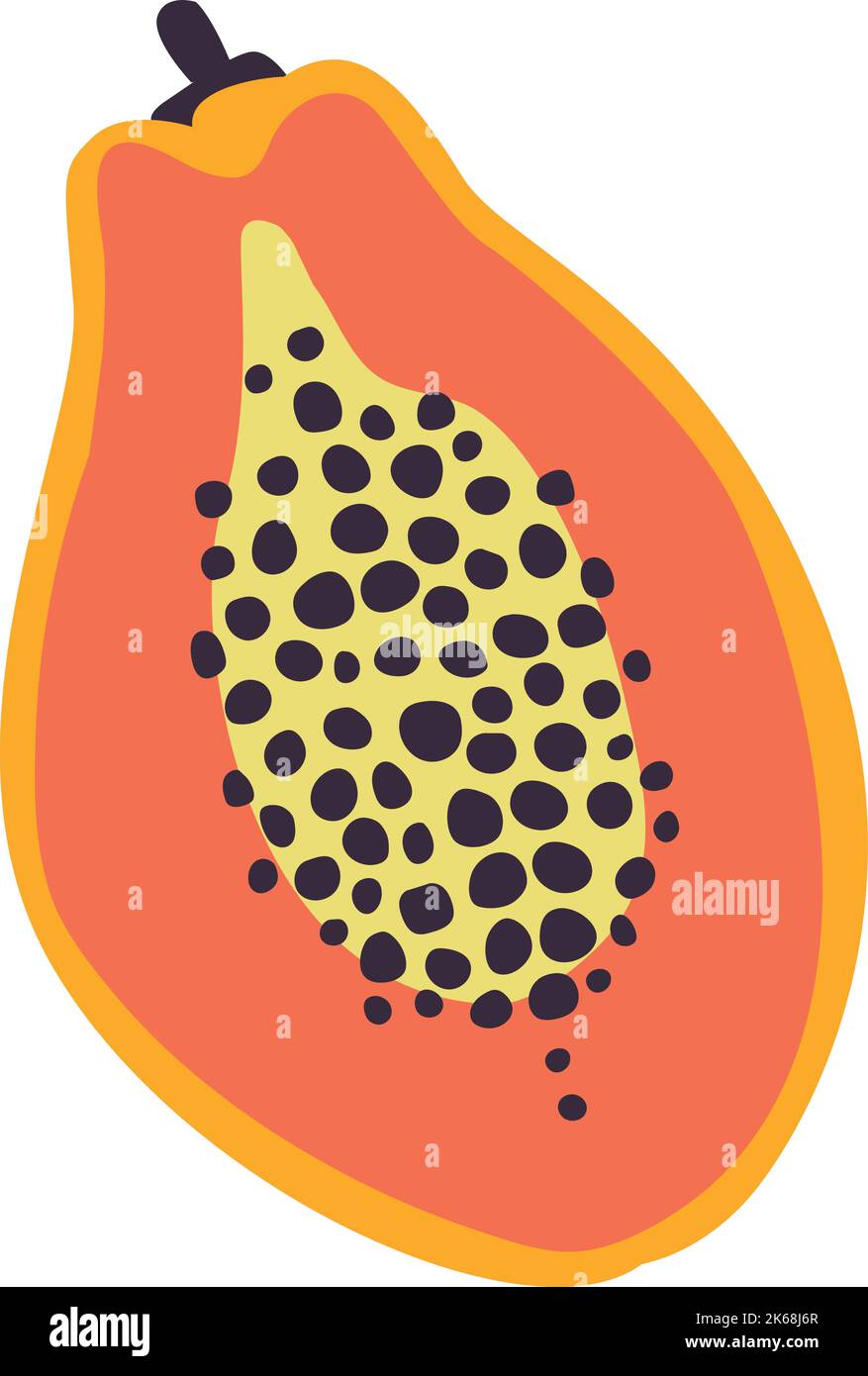 Papaya half cut. Hand drawn exotic fruit Stock Vector Image & Art - Alamy