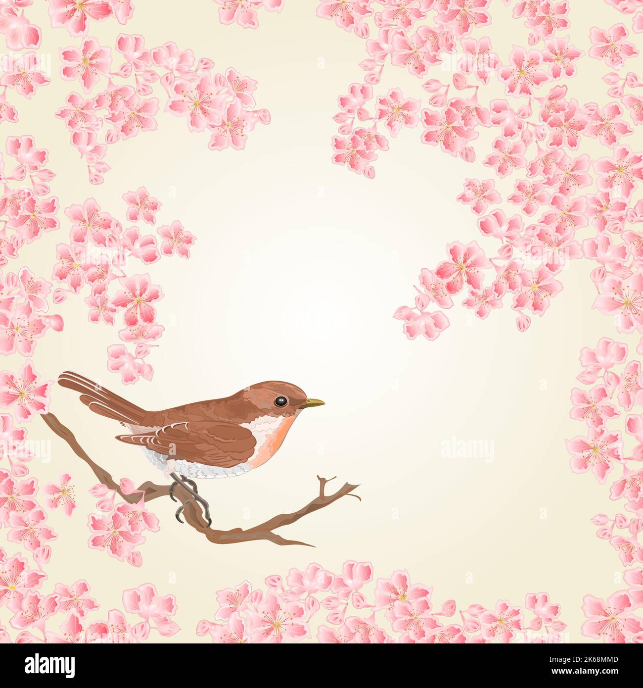 Seamless texture bird and sakura vector Stock Vector Image & Art - Alamy