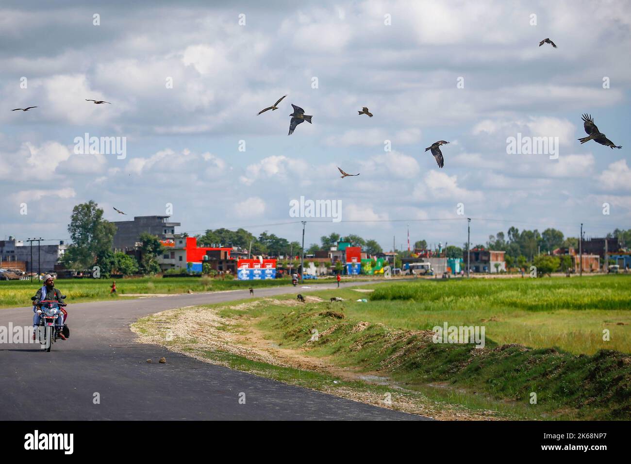 A man is seen riding a motorbike as Eagles fly along a road section at ...
