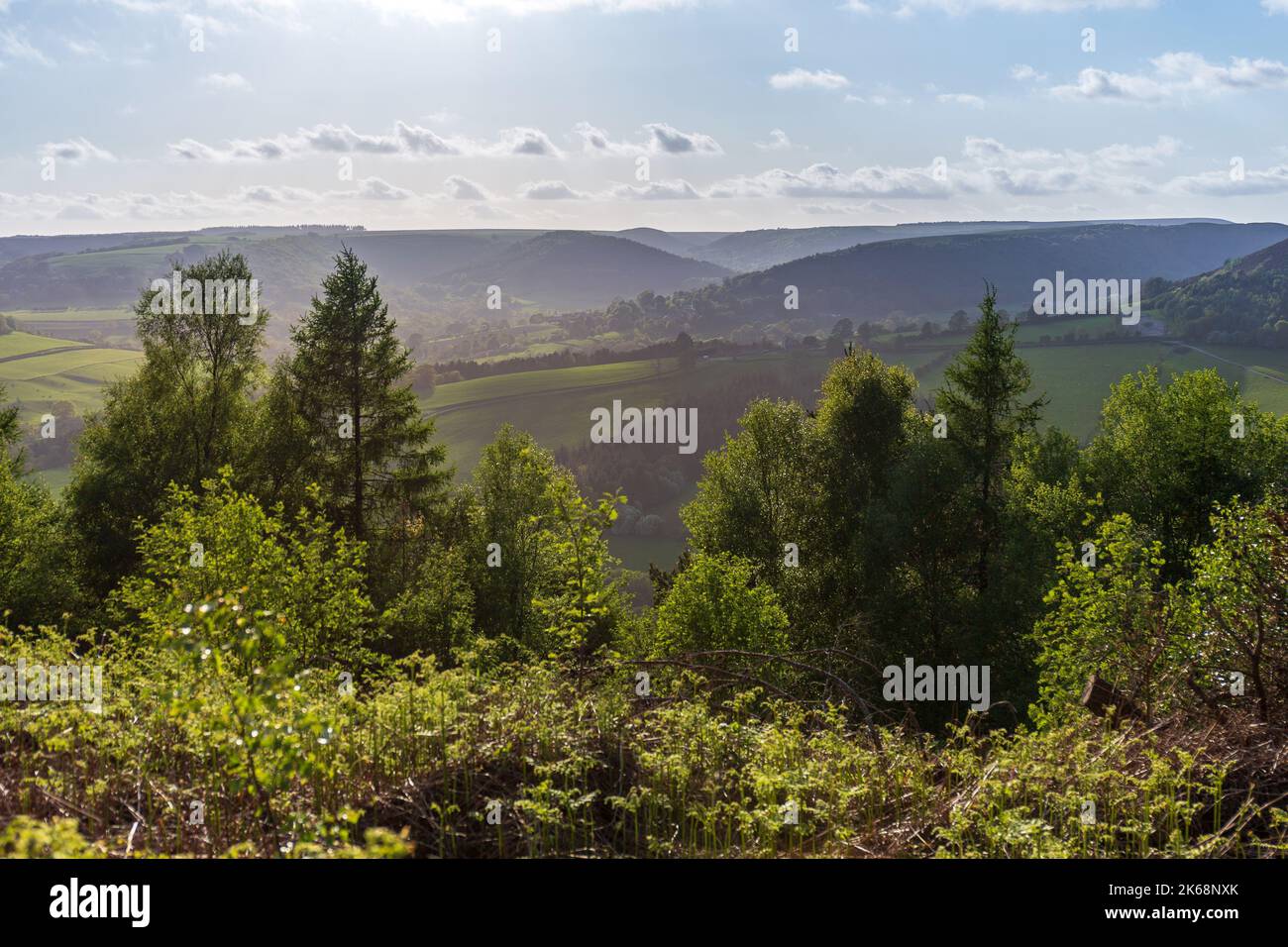A beautiful landscape of a green forest on the hillside Stock Photo - Alamy
