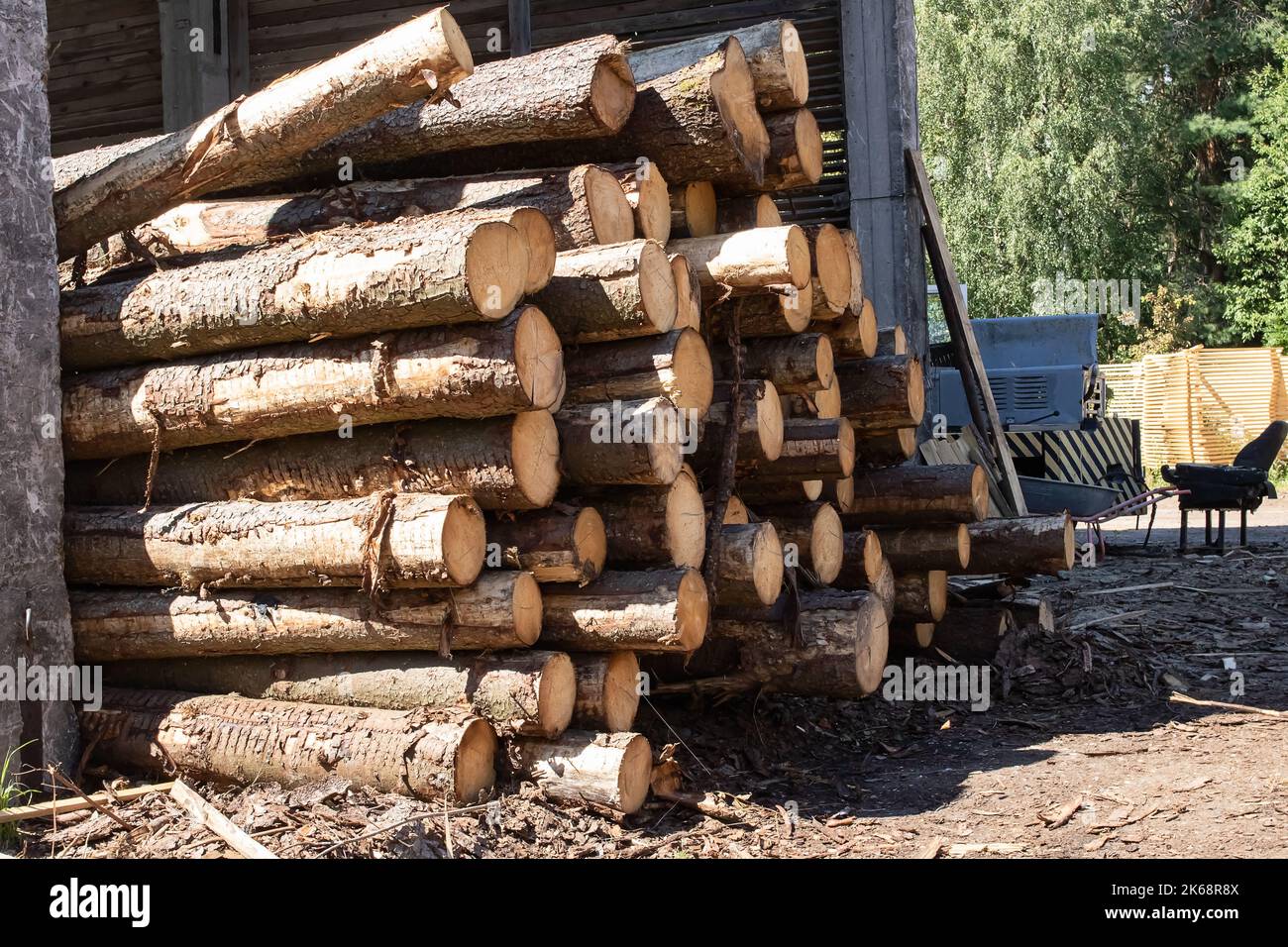 Stack of logs in a lumberyard hi-res stock photography and images - Alamy