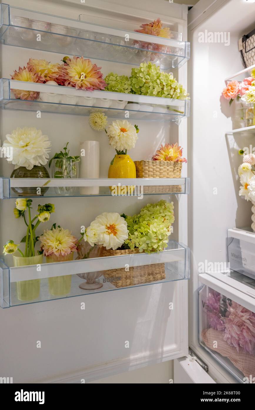 Refrigerator flower hi-res stock photography and images - Alamy