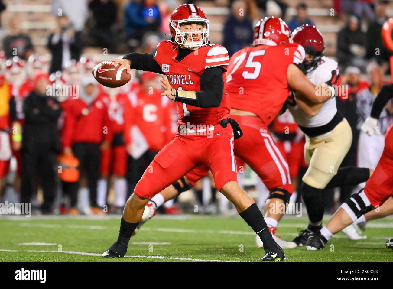 Schoellkopf hi-res stock photography and images - Alamy