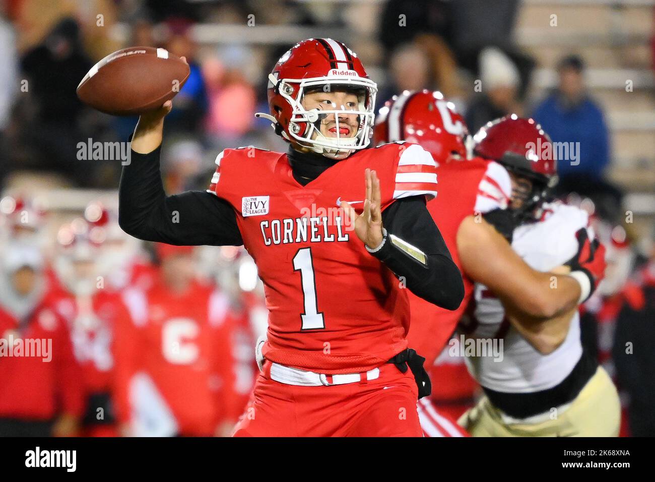 Schoellkopf hi-res stock photography and images - Alamy